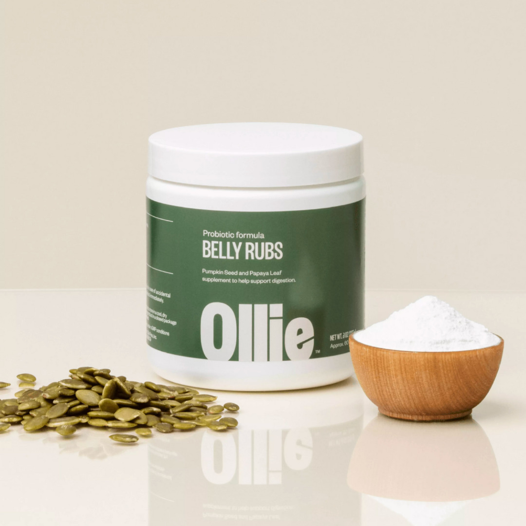 As a Four-Legged Food Snob, Ollie's Fresh Meals Are the Only Food I'll ...