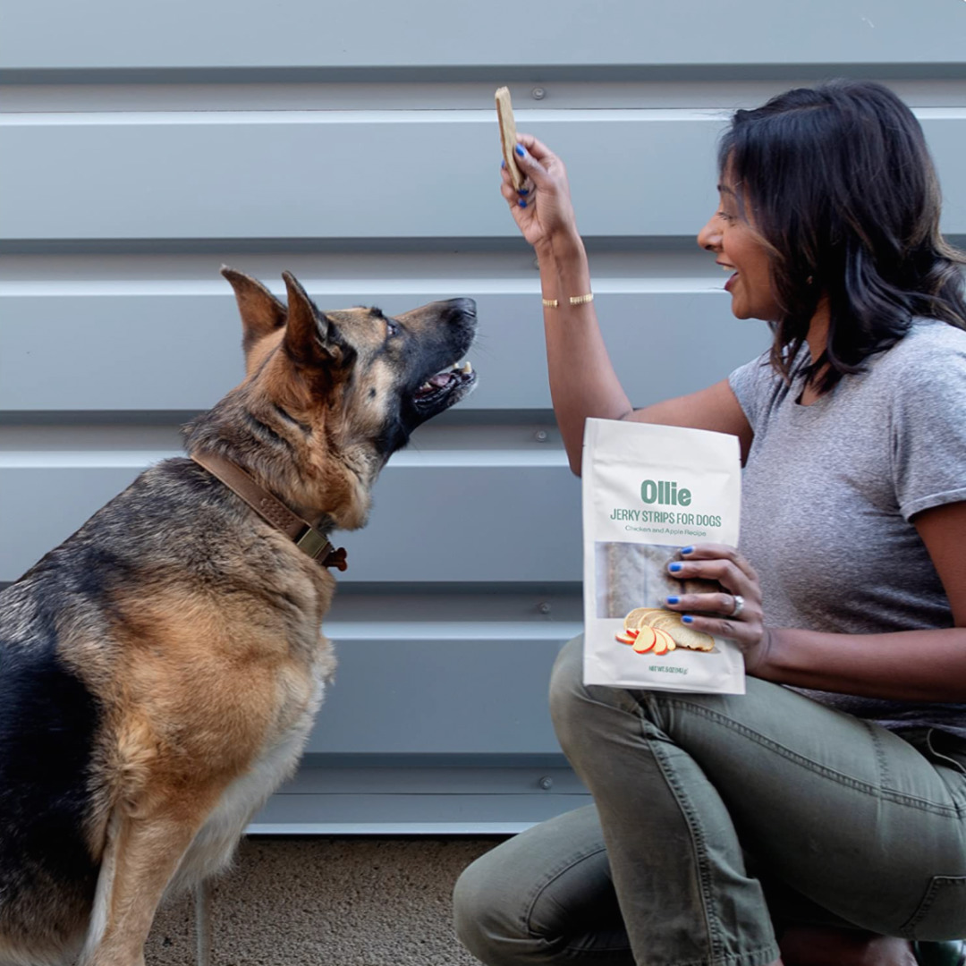 As a Four-Legged Food Snob, Ollie's Fresh Meals Are the Only Food I'll ...