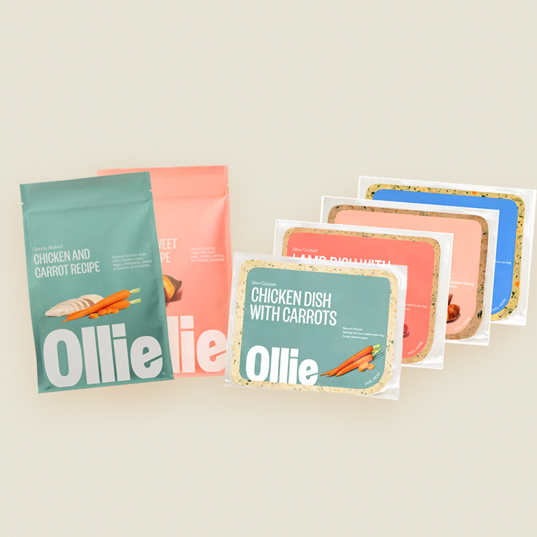 6 Months In, Was Switching to Ollie's Fresh Meals Worth the Price ...