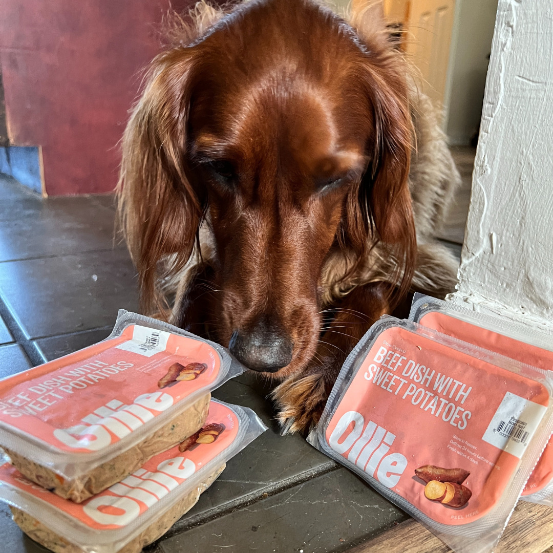 Stop Chasing Your Tail–I Tried Two of the Top Fresh Food Brands for ...