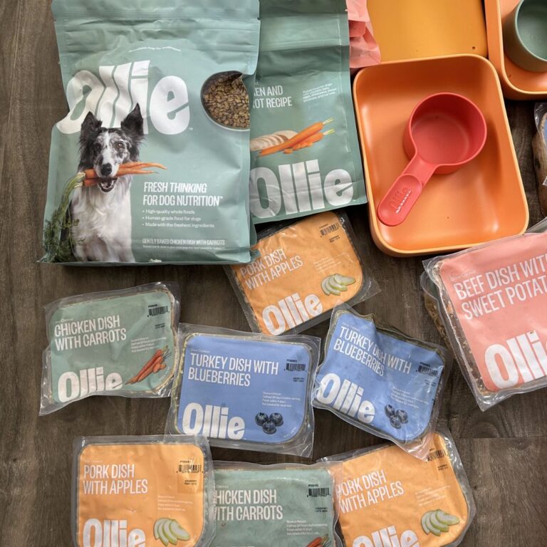 Stop Chasing Your Tail–I Tried Two of the Top Fresh Food Brands for ...